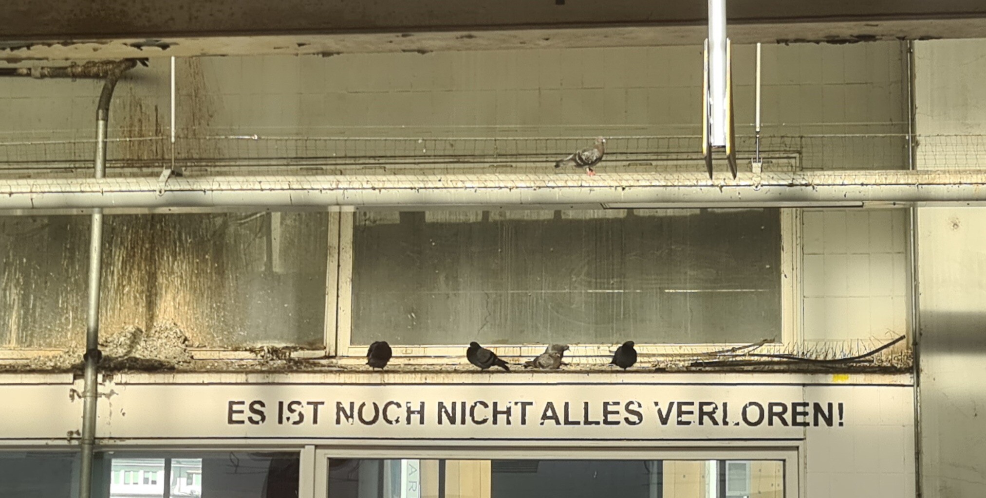 Hendryk (@pillenknick@toot.community) - toot.community